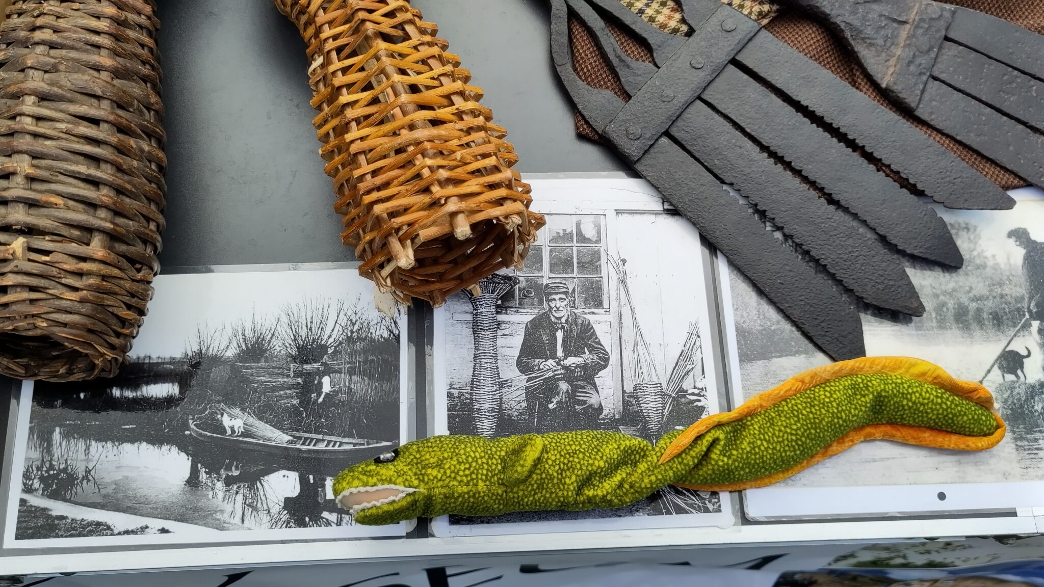 World Eel Day - Photo Gallery - Beastly Business